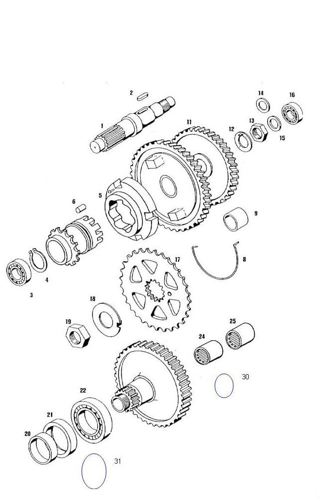 Tomos A35 – Varianten – Fresh Parts